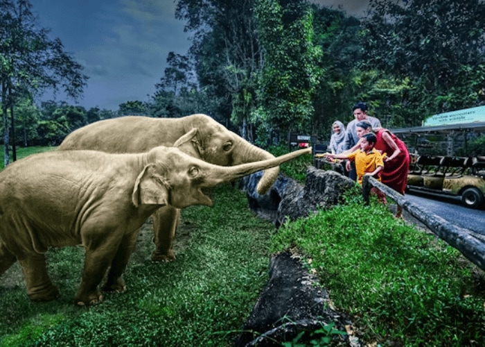 Top Things to Do in Singapore: Sentosa Island, Gardens by the Bay ...