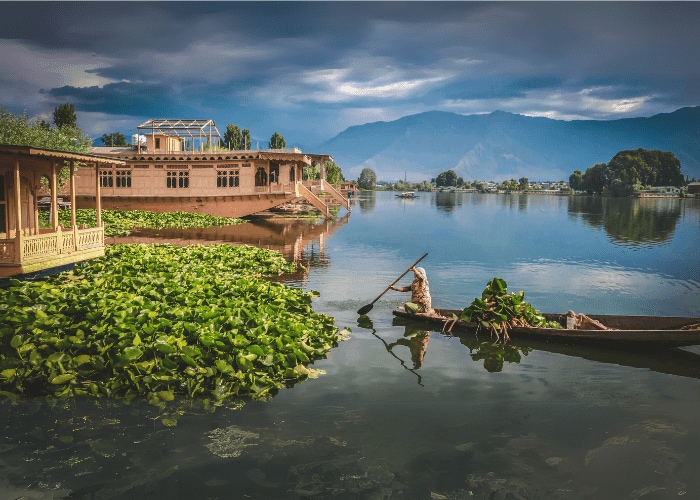 Explore Srinagar: Top Attractions, Best Time to Visit & Travel Guide
