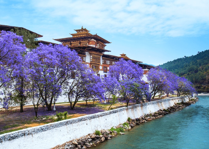 Explore Bhutan: Scenic Himalayas, Paro Taktsang Monastery & Punakha ...