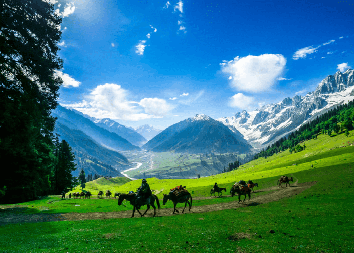 Discover Gulmarg's magic with thrilling skiing, scenic gondola rides ...