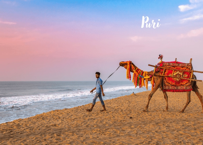Best Puri Tourism: Spiritual Bliss & Scenic Beaches | Unimoni Travel ...