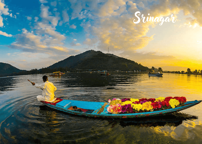 Explore Srinagar: Top Attractions, Best Time to Visit & Travel Guide
