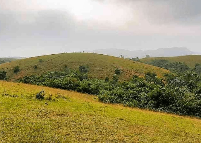 Explore Vagamon, Kerala's Offbeat Hill Station: Lush Greenery, Tea ...