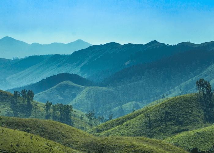 Explore Vagamon, Kerala's Offbeat Hill Station: Lush Greenery, Tea ...